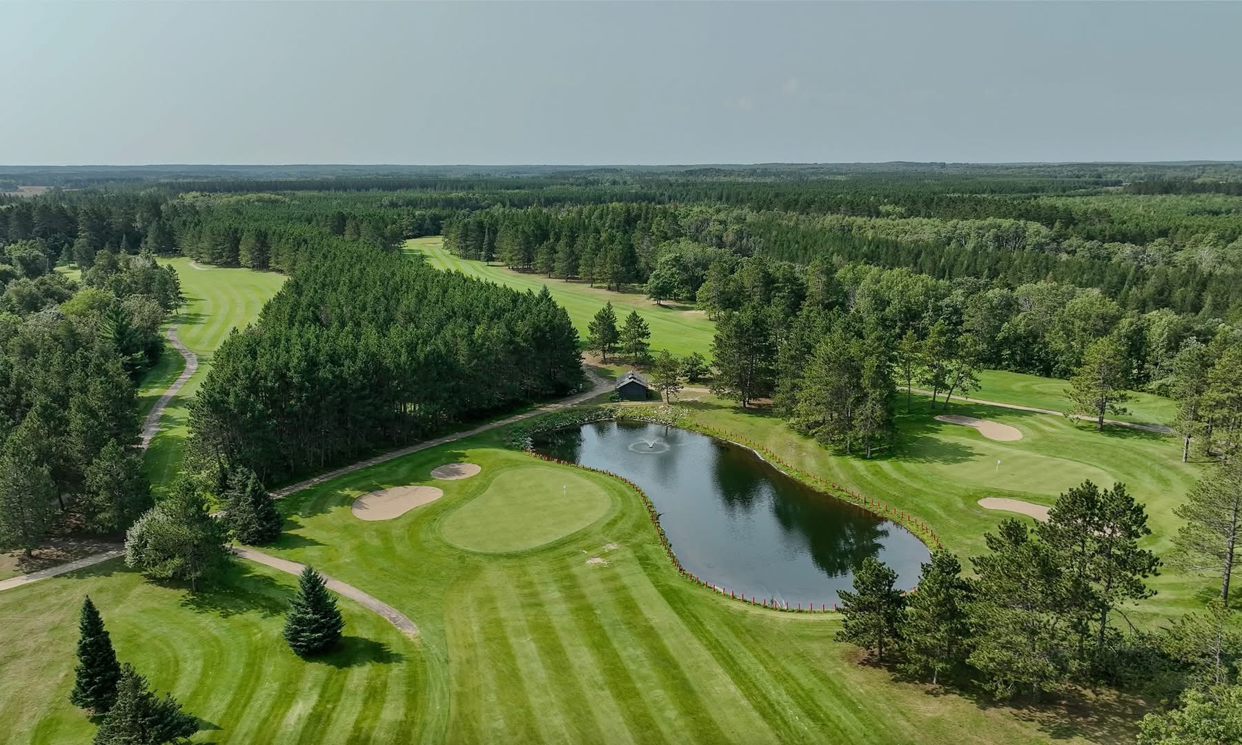 Gallery - Blueberry Pines